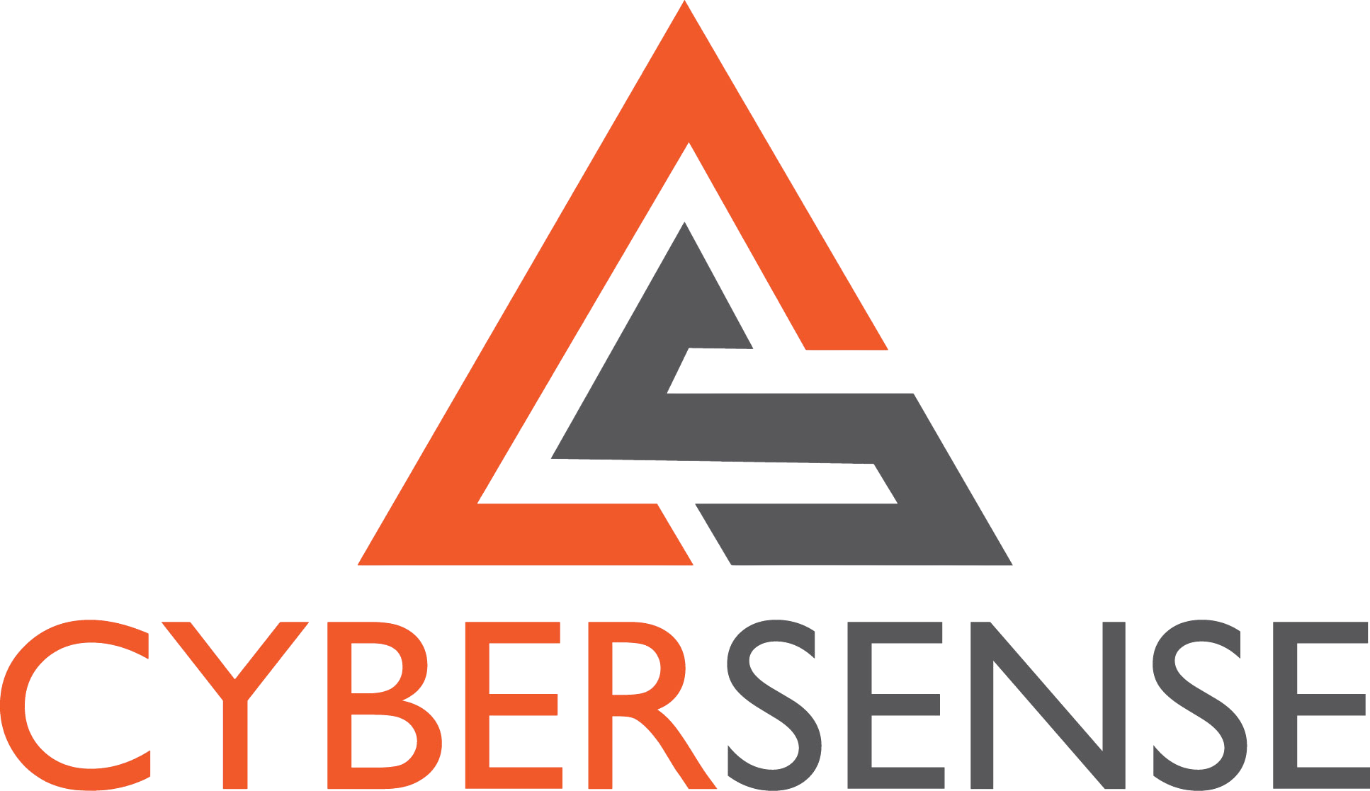 Cybersense